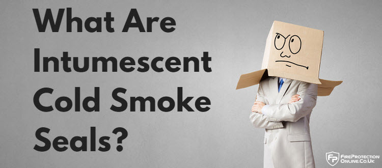 What Are Intumescent Cold Smoke Seals? A Guide to Fire Door Safety ...